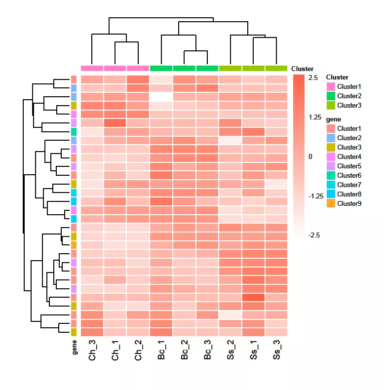 R语言绘图教程 | 如何绘制“漂亮”的热图？ - 知乎