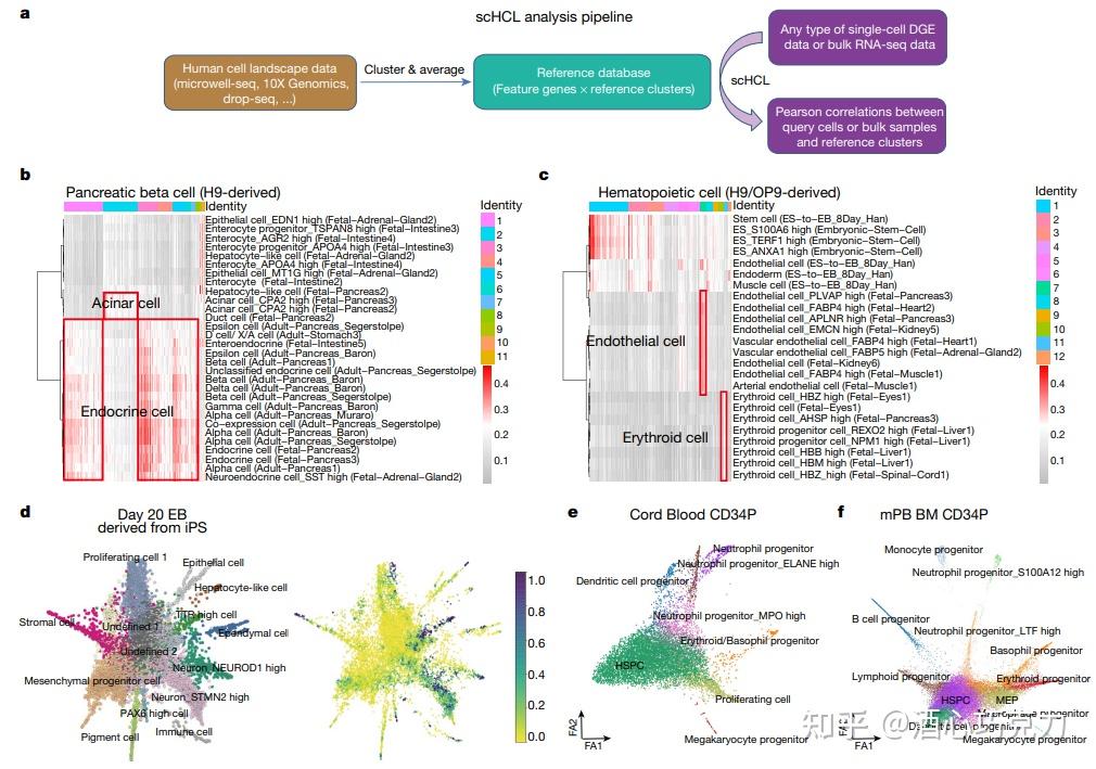 文献阅读| Construction of a human cell landscape at single-cell level - 知乎