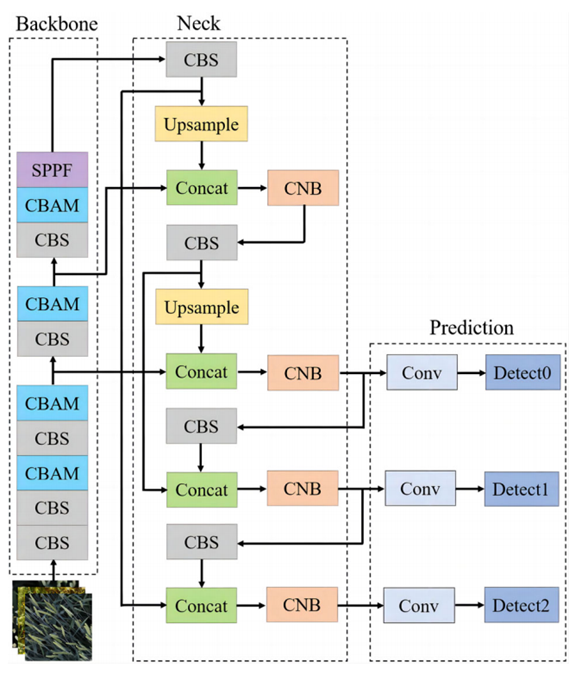 利用基于注意机制的anchor-free ObjectBox模型的小麦穗检测 - 知乎