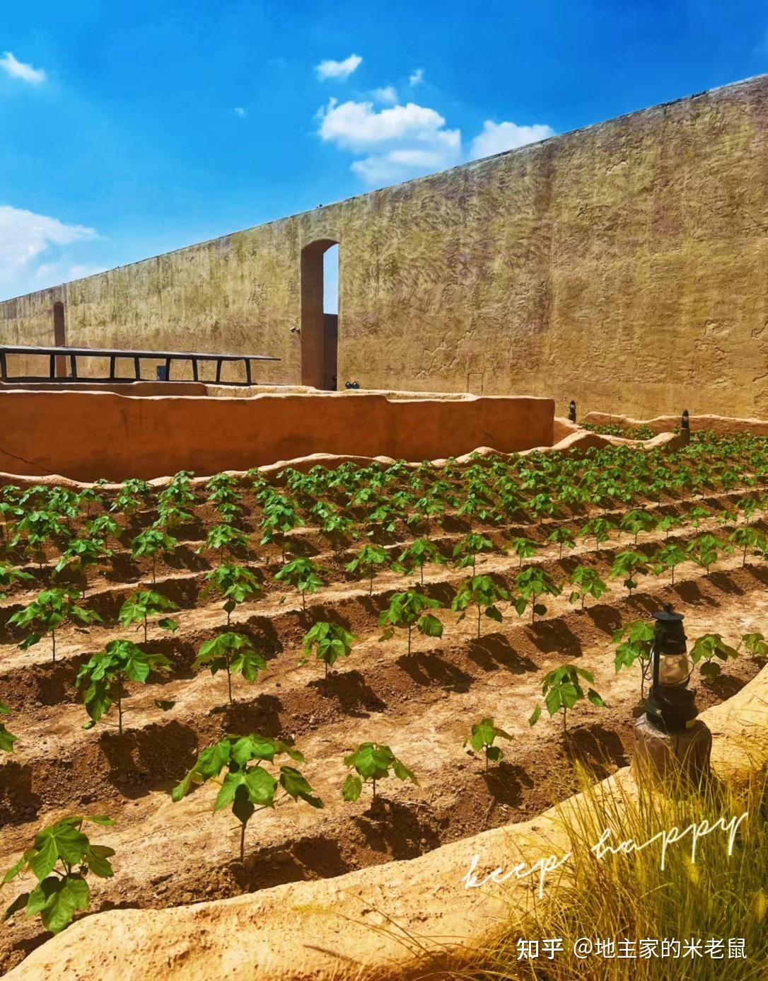 只有河南•戏剧幻城，全网最全6000字攻略大赏！ - 知乎