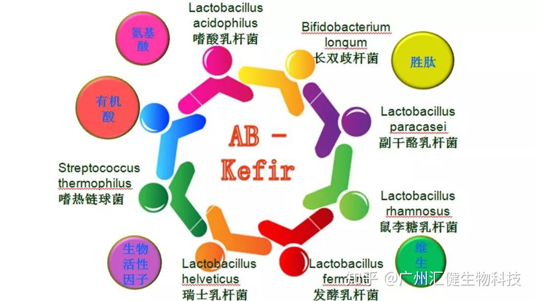 AB-Kefir乳酸菌，改善肠道内微生态环境平衡 - 知乎