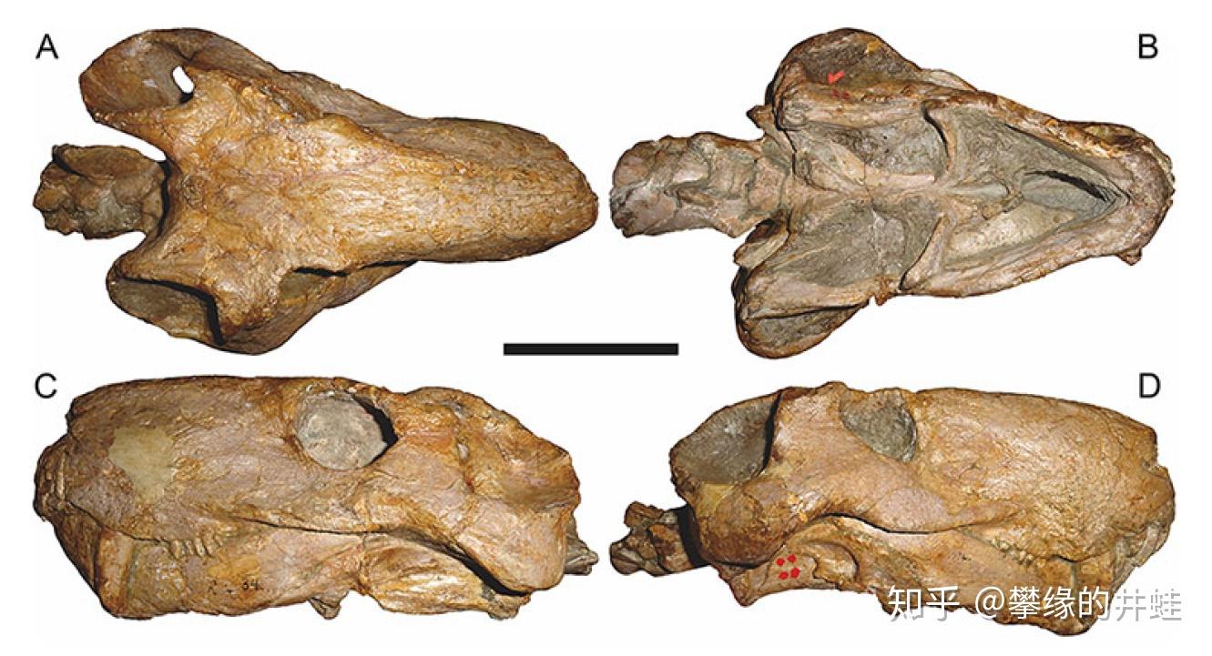 【地球演义】百兽图6：惊饕餮 - 知乎