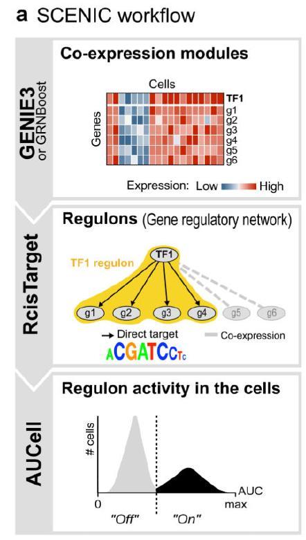 干货分享！一文带你走进单细胞分析高级玩法：Regulon调控子分析 - 知乎