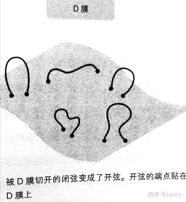 弦理论的介绍（四） - 知乎