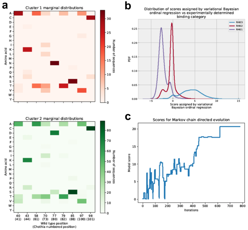 RESP AI模型加速紧密结合抗体的鉴定 - 知乎