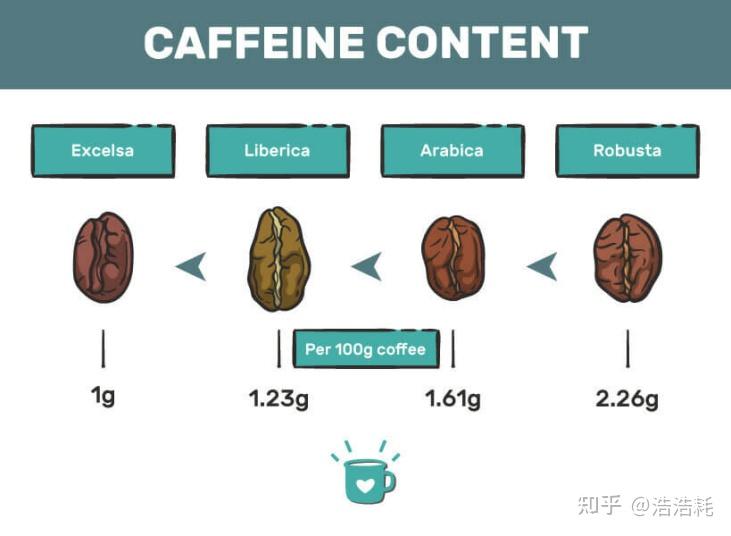 为什么高因咖啡在健身圈这么火爆？ - 知乎