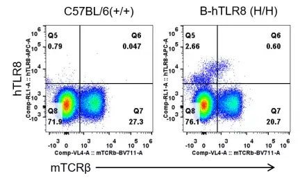 TLR8人源化小鼠 - 知乎