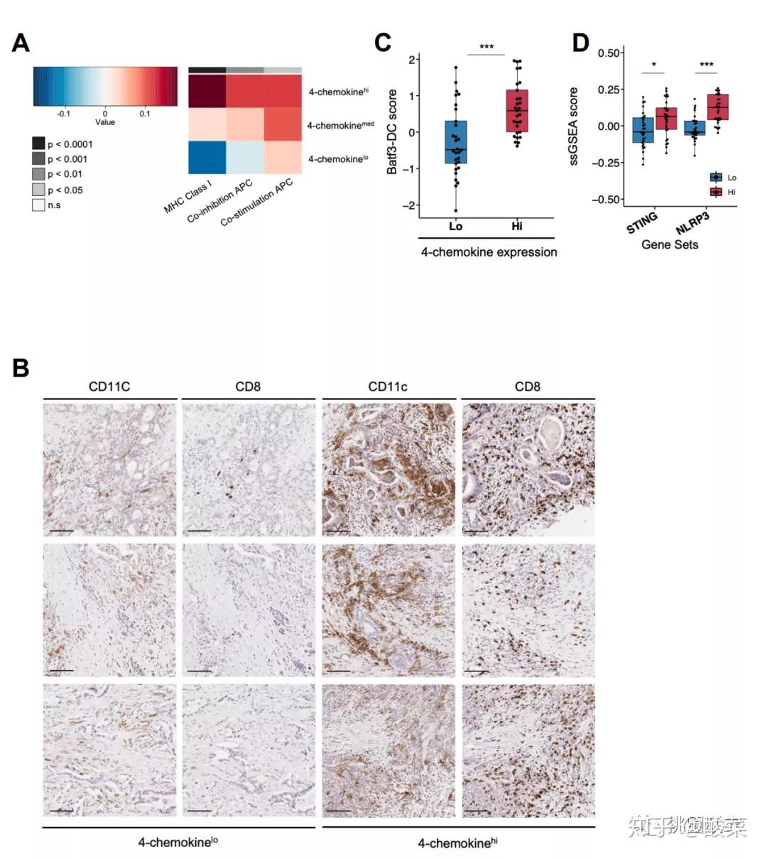TCGA太俗套？自己的临床数据搞起来照样发高分！ - 知乎