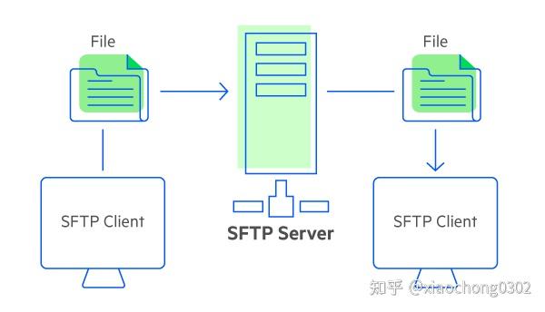 Ubuntu 24.04 配置 SFTP Server - 知乎