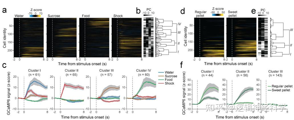 Nature︱美国冷泉港实验室李波团队发现中央杏仁核在学习记忆中的新机制 - 知乎