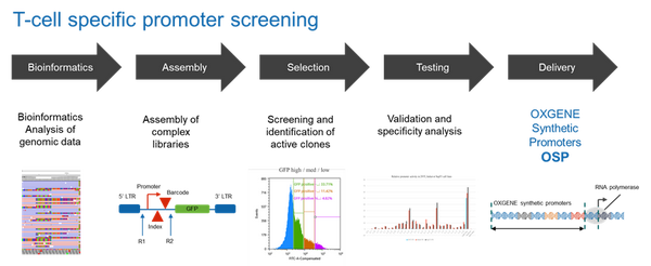 CGT系列 | CAR-T疗法工艺开发策略 - 知乎