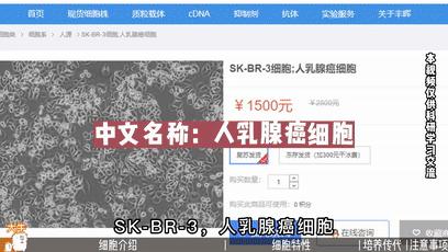 SK-BR-3细胞培养，人乳腺癌细胞培养攻略-丰晖生物 - 知乎