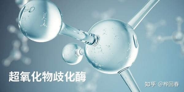 SOD小讲堂（一）：SOD的认识和应用史 - 知乎