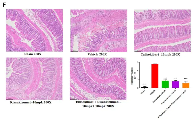 TL1A+α4β7/IL-23双抗来了！TL1A多靶点人源化小鼠模型为研发加速 - 知乎