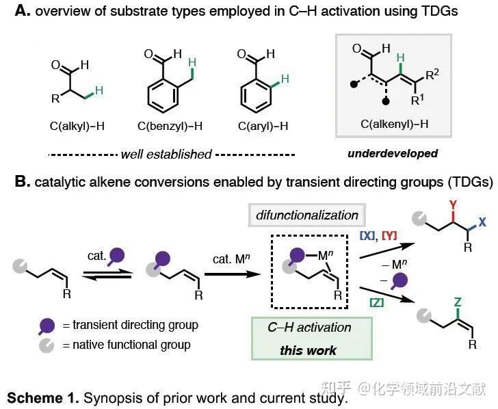 Angew：Pd(II)催化瞬态导向基导向的C(alkenyl)–H活化反应 - 知乎