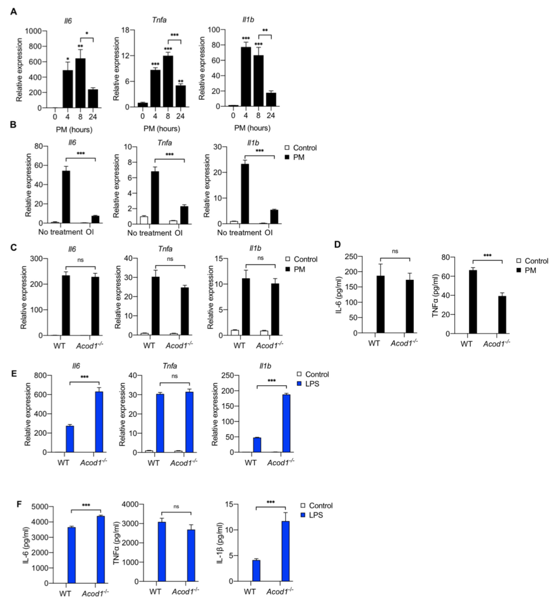 eLife丨内源性衣康酸不发挥抗炎抗氧化应急作用，外源性衣康酸发挥的抗炎作用不依赖Nrf2 - 知乎