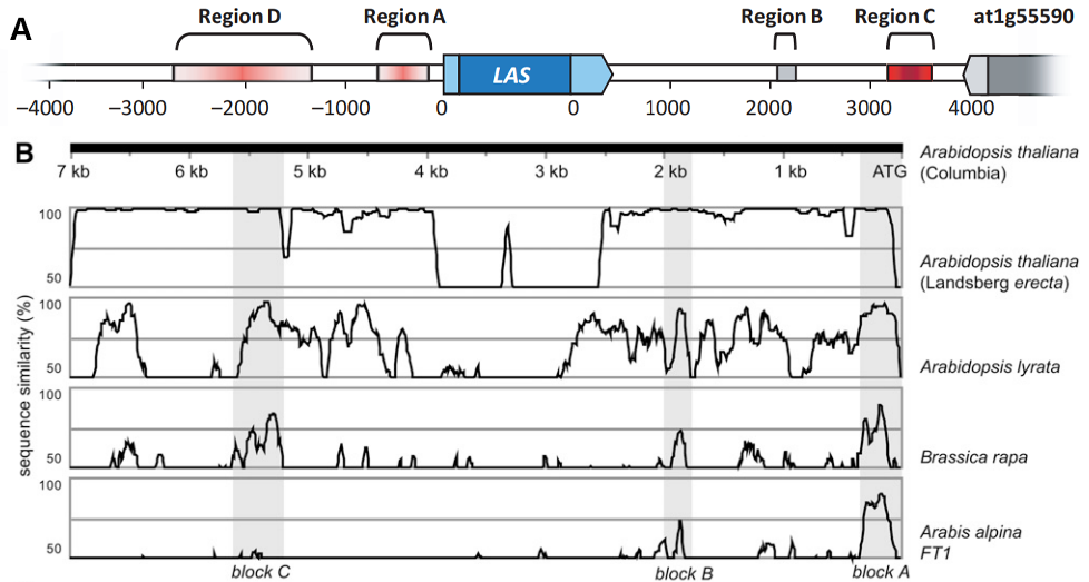 如何研究“暗物质”——增强子？（一） - 知乎