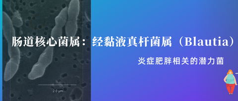 肠道核心菌——戴阿利斯特杆菌属 （Dialister） - 知乎