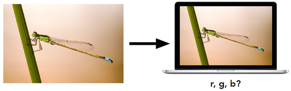 Understanding Image Sensor Metamerism - 知乎
