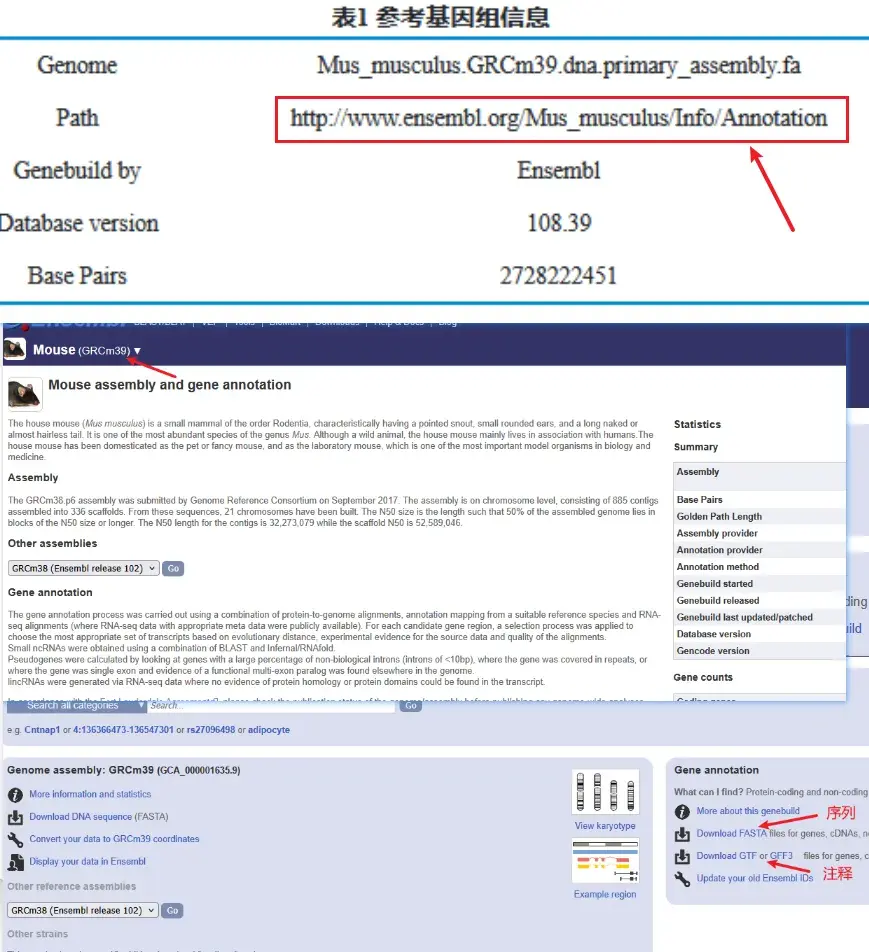 【干货】IGV使用手册 - 知乎