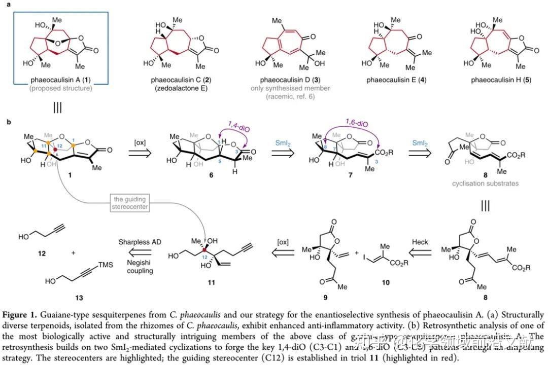 David J. Procter组JACS：二碘化钐介导的环化反应——(−)-Phaeocaulisin A的首次全合成 - 知乎