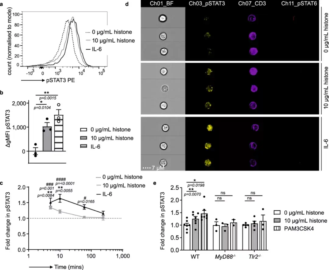 Nat Comm | 中性粒胞外陷阱使Th17促炎症T细胞分化 - 知乎
