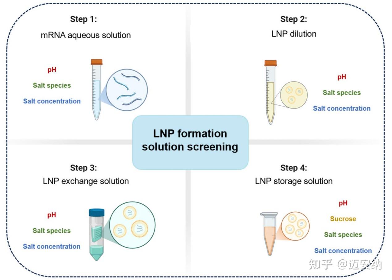 迈安纳团队首篇文章｜ LNP工艺最新研究-制备溶液显著影响mRNA/LNP的理化性质、体内外表达、稳定性和颗粒结构 - 知乎