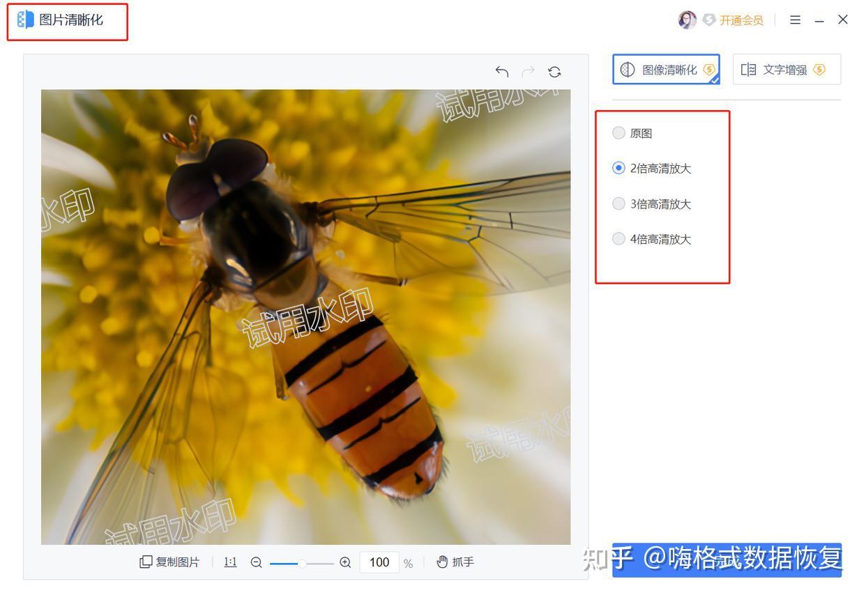 图片无损放大：8款超实用放大工具推荐！ 知乎