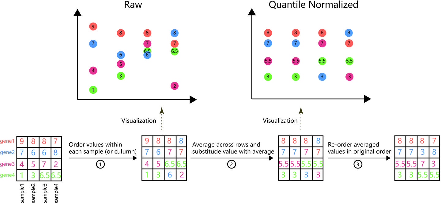 R语言 | GEO单通道芯片表达矩阵标准化 - 知乎