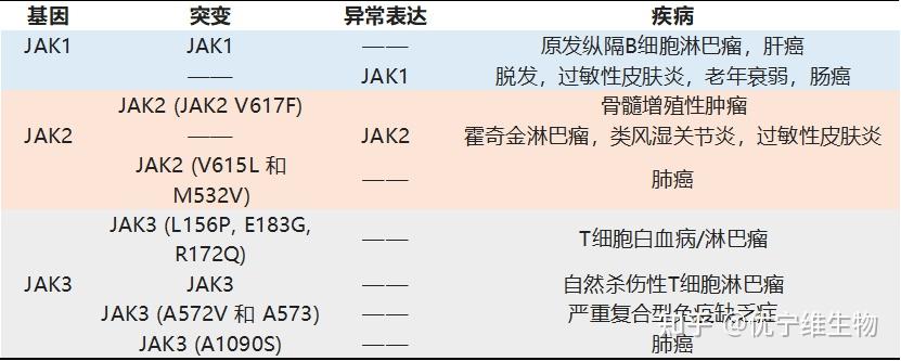 【小优细节君】关于JAK激酶，你需要了解的二三事 - 知乎