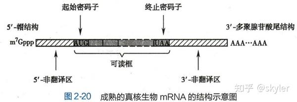 生物化学笔记（临床医学） - 知乎