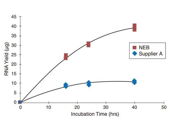 NEB 提供 RNA 合成完整解决方案 - 知乎