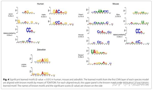工具篇 | DeepM6ASeq：预测RNA序列m6A修饰位点的大杀器 - 知乎