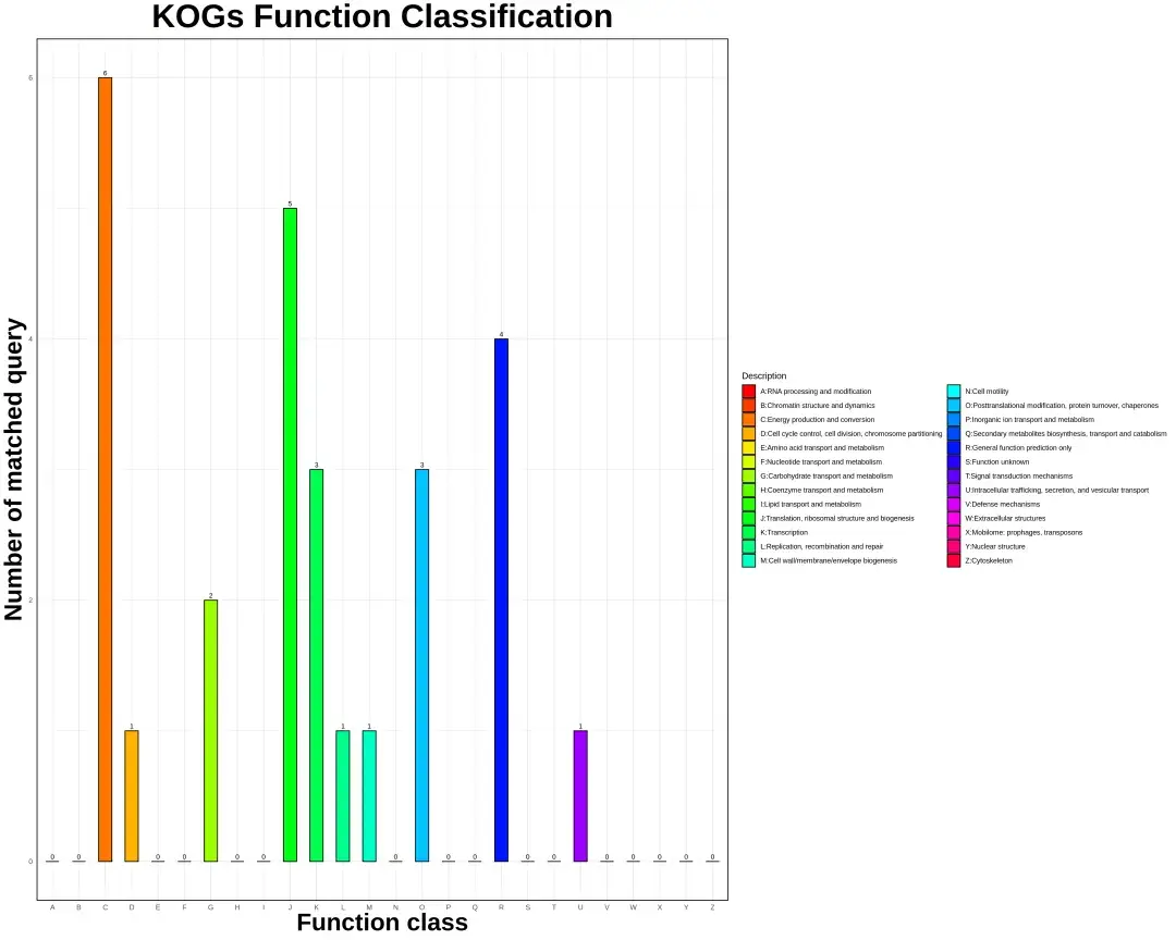用KOG注释探索基因功能的无限可能！ - 知乎