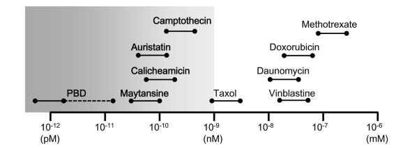 DMPK系列 | ADC非传统有效载荷（Payload）及其药代动力学考量 - 知乎