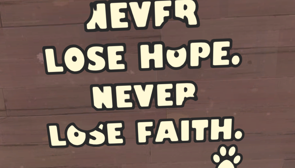 Signed Distance Field - 知乎