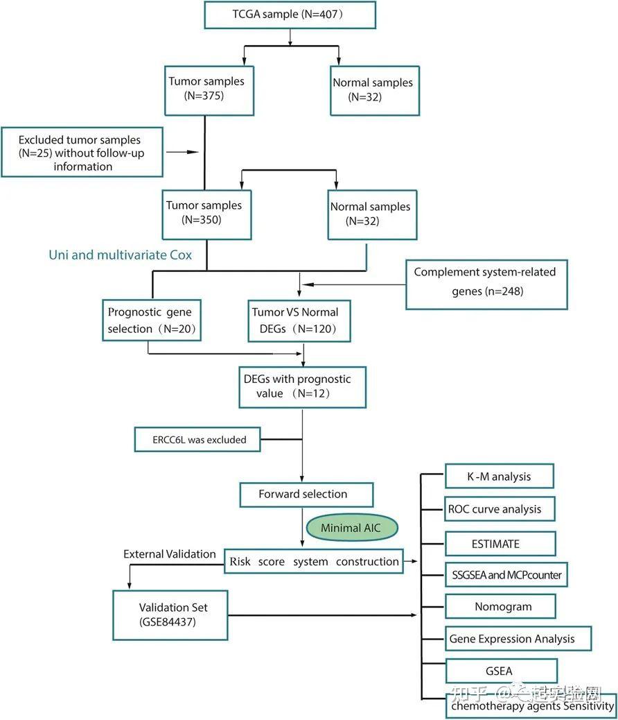 免疫方向别人已经发表了？不如试试补体系统，同样轻松发4+ - 知乎