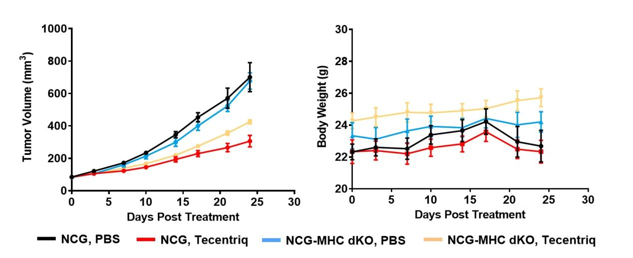 “快！好！省！”免疫重建小鼠你忍心错过嘛？ - 知乎