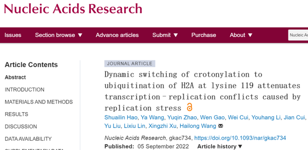 NAR（IF=19）| 首都师范大学发现赖氨酸巴豆酰化参与了复制应激反应 - 知乎