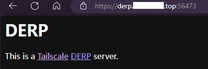 大内网战略(6)：自建 Tailscale DERP 中继服务器 保姆级教程 - 知乎