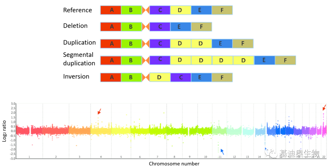 更高级的重测序分析策略—CNV介绍及应用 - 知乎