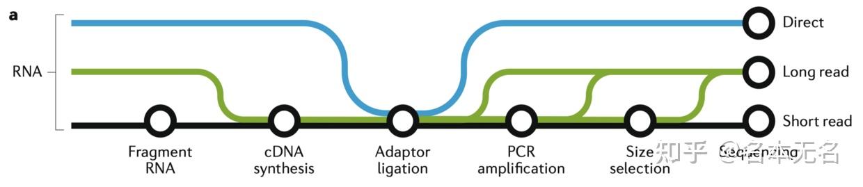 RNA-seq 分析流程 —— 概述 - 知乎