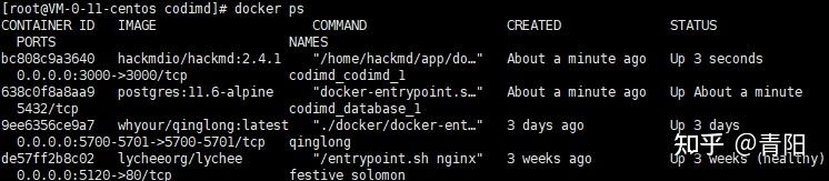 玩转服务器-博客两件套之绝佳的Markdown写作平台CodiMD - 知乎