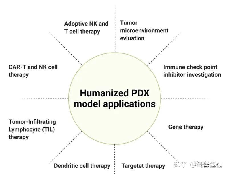 如何用人源性组织异种移植（PDX）助力临床科研 - 知乎