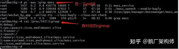 Cgroup使用介绍 - 知乎