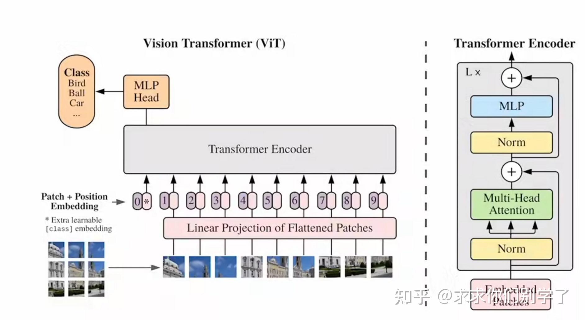 视觉transformer：VIT, swin transformer，DETR等 - 知乎