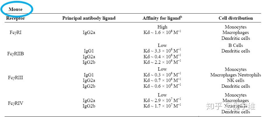 哪些细胞需要进行Fc受体阻断？ - 知乎