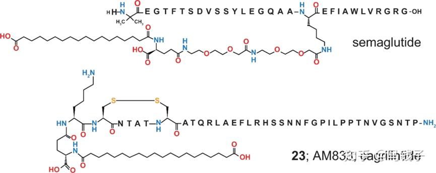 创造奇迹的神药——口服GLP-Amycretin超越司美格鲁肽？ - 知乎