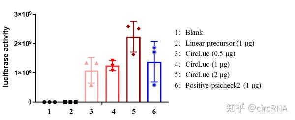 不容错过！人工制备环状RNA的策略 - 知乎