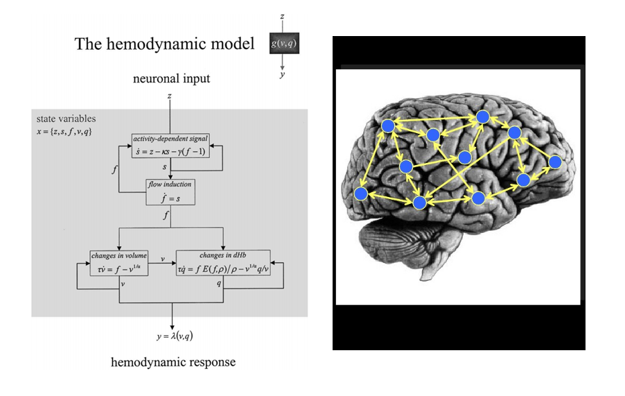 Dynamic Causal Modeling：确定性因果模型（上） - 知乎